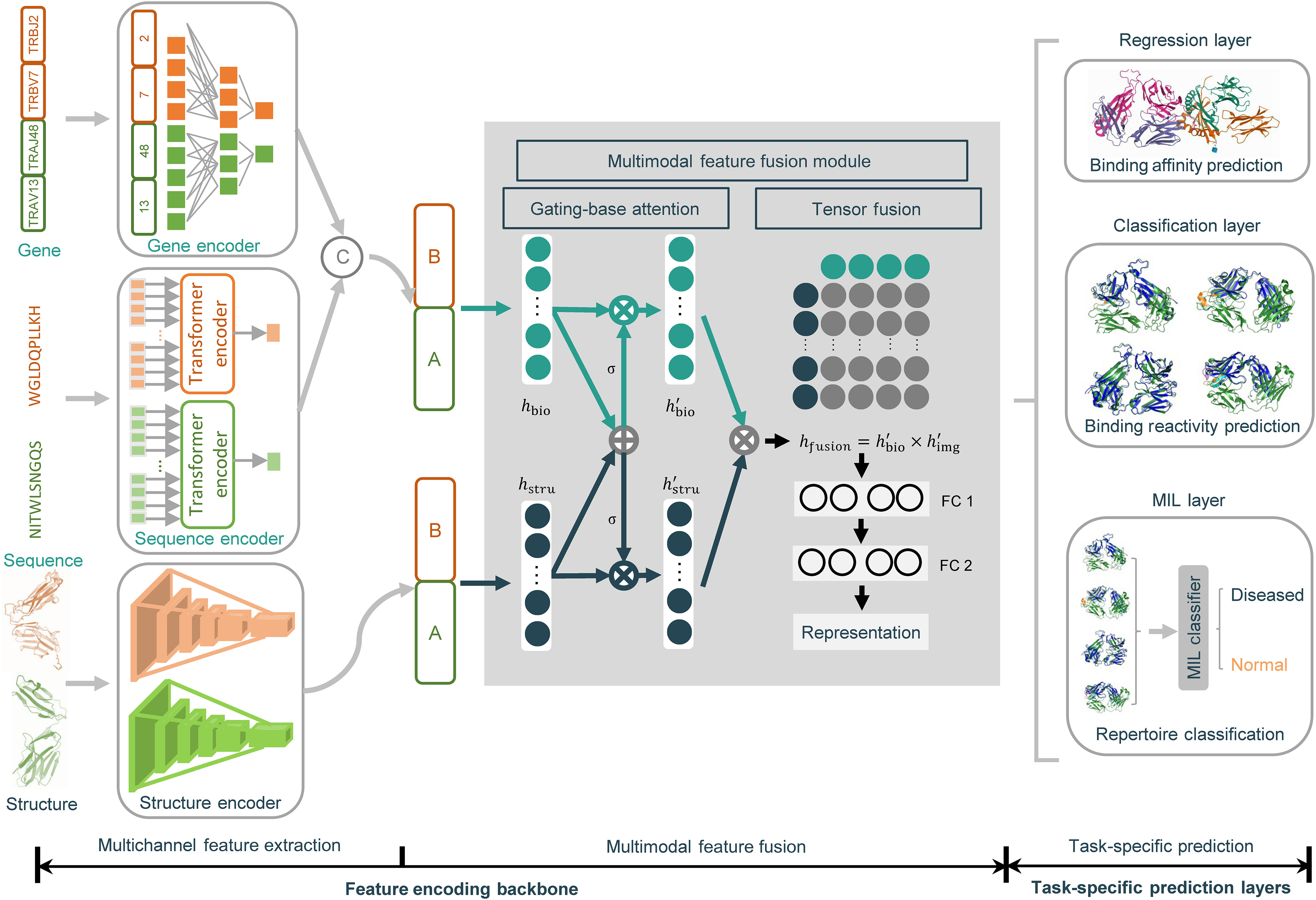 DeepAIR: a deep-learning framework for effective integration of sequence and 3D structure to ...