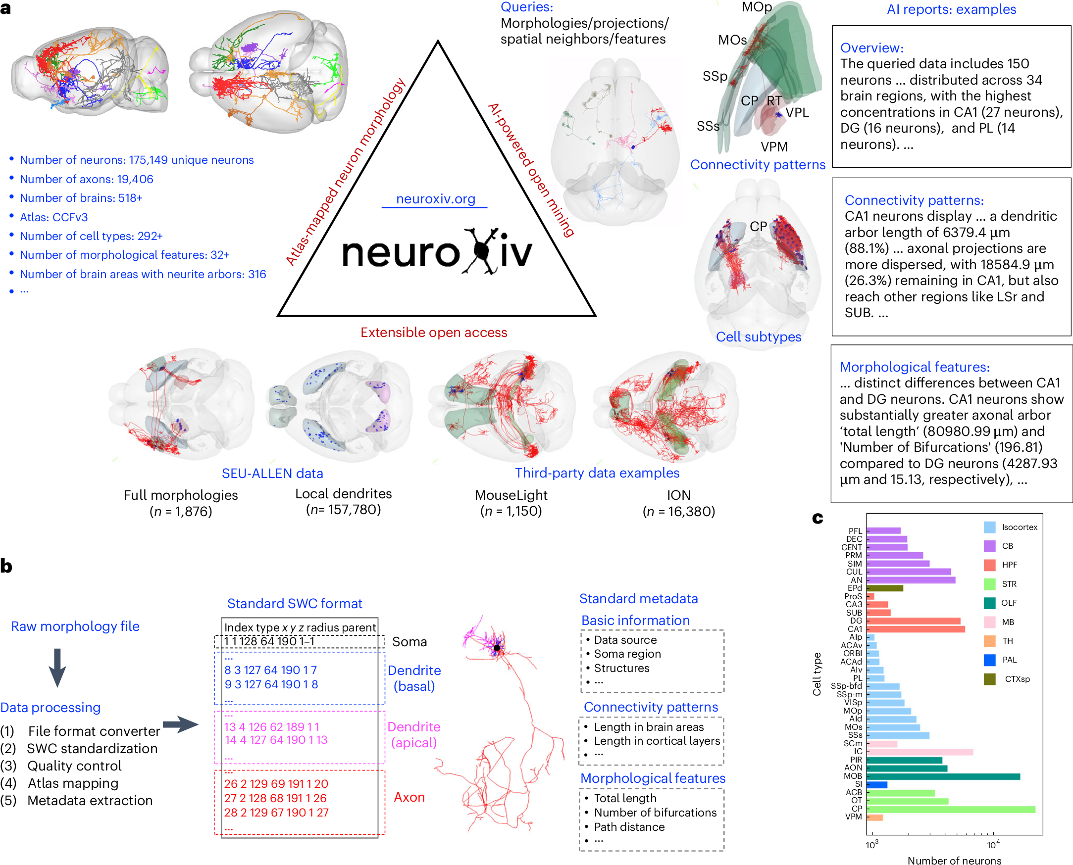 NeuroXiv: AI-Powered Open Databasing and Dynamic Mining of Brain-Wide ...